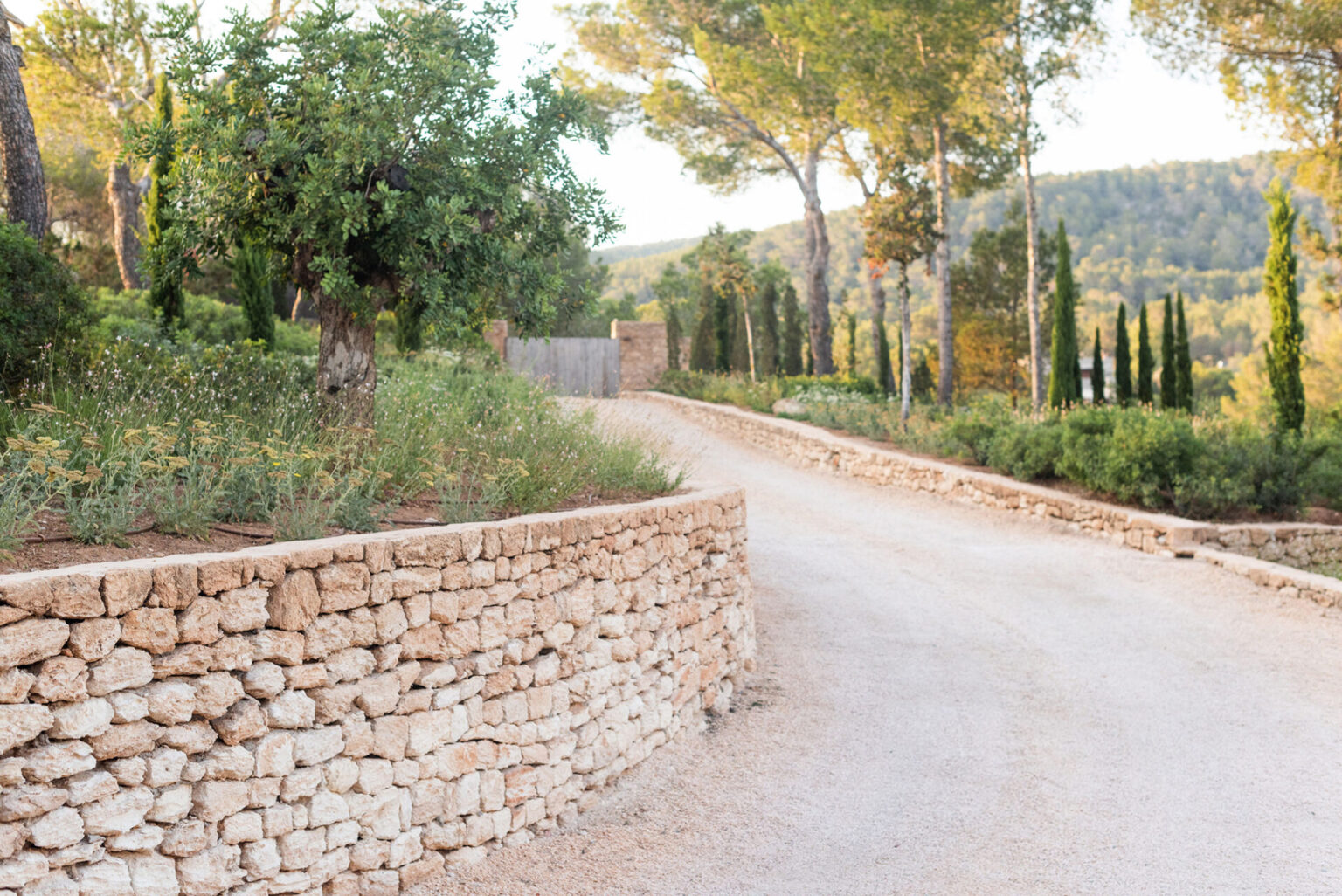 Can Vincent Landscape Design that embraces traditional Ibizan finca ...